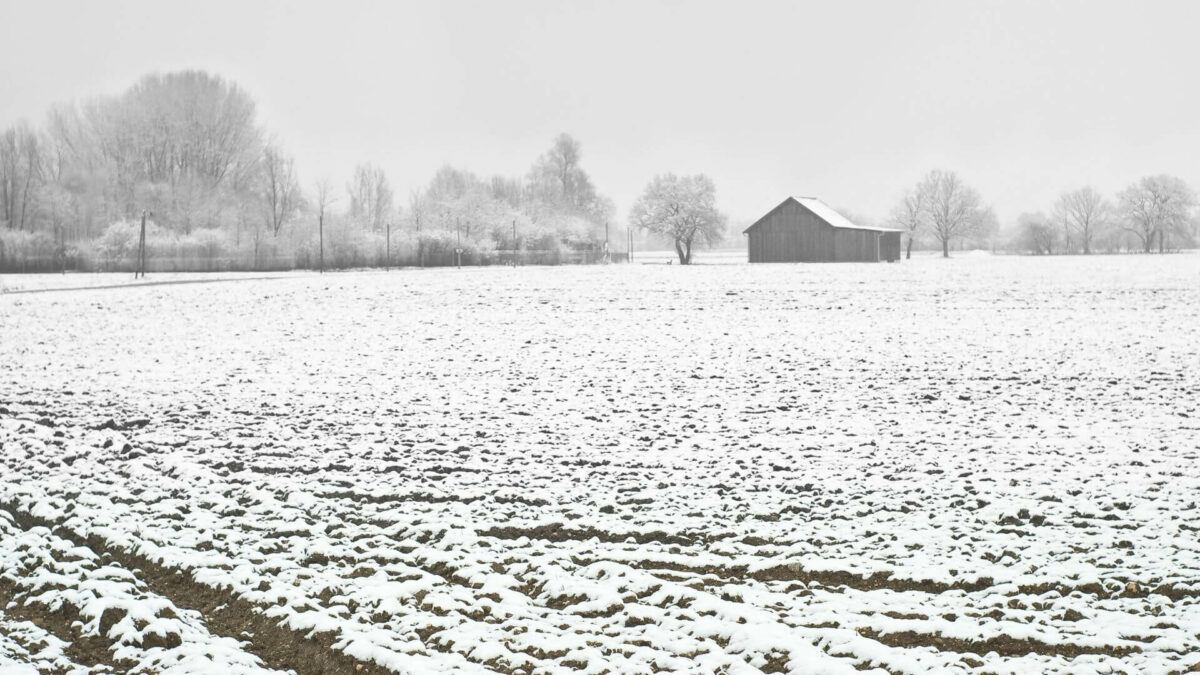 Essential Winter Land Maintenance Tips for Hunters - Preserve Your ...