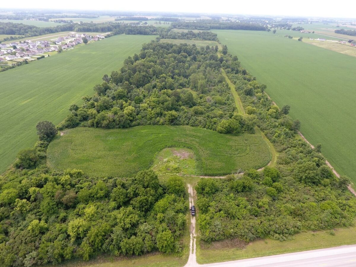 Undeveloped Land For Sale In Monroe County 80 Acres | Property ID: 23312