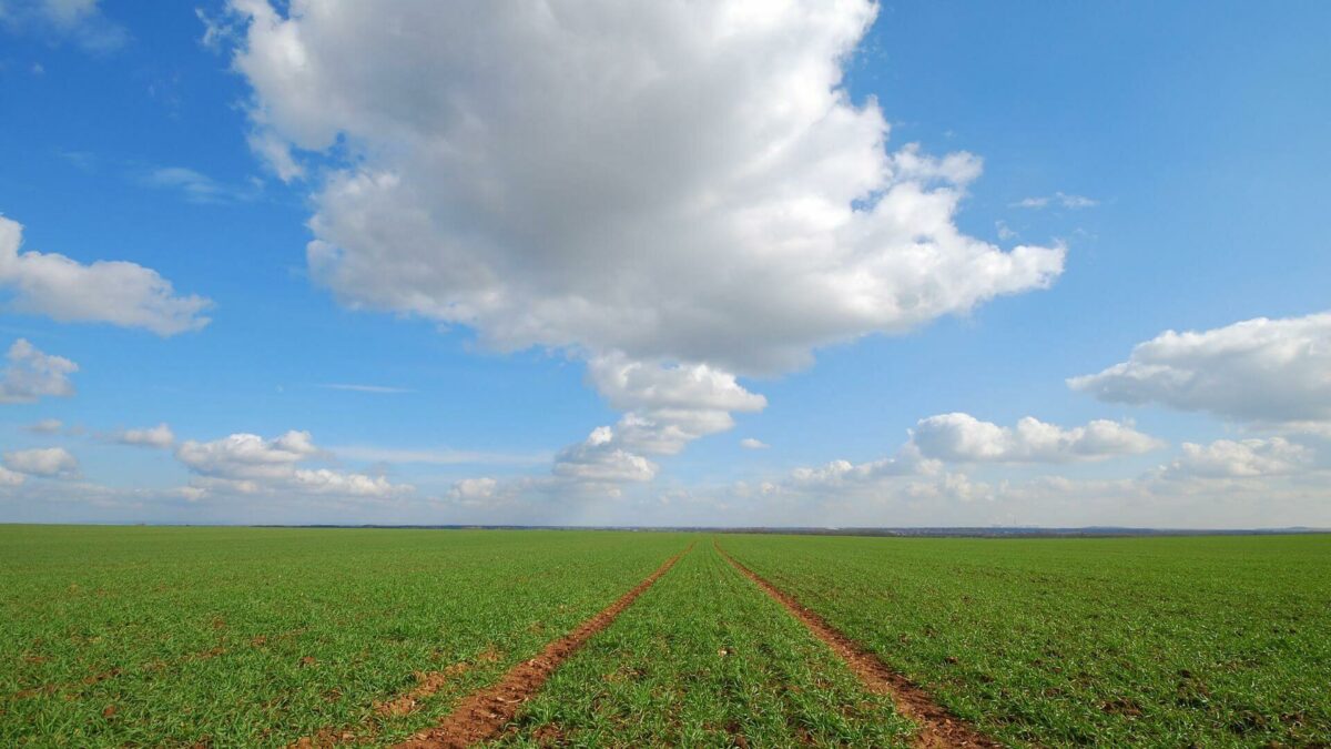 Investing in Michigan Farmland | A Time-Tested Asset for Your Portfolio