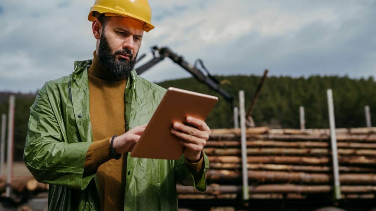 Sustainable Timber Harvesting in Michigan: Maximize Profit and Preserve ...