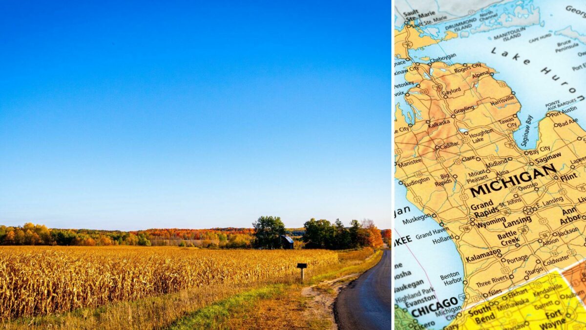 Michigan Land Market Trends – Top-Performing Counties of 2025